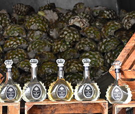 Mar Azul Tequila | Beverage Distributor in San Antonio, TX